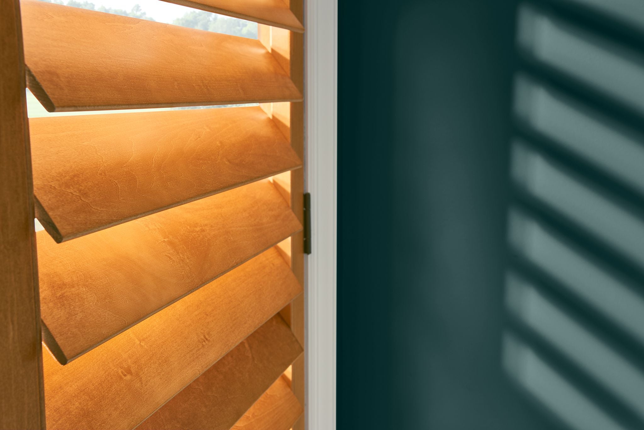 Angle hidden Wood Shutter – Save On Blinds