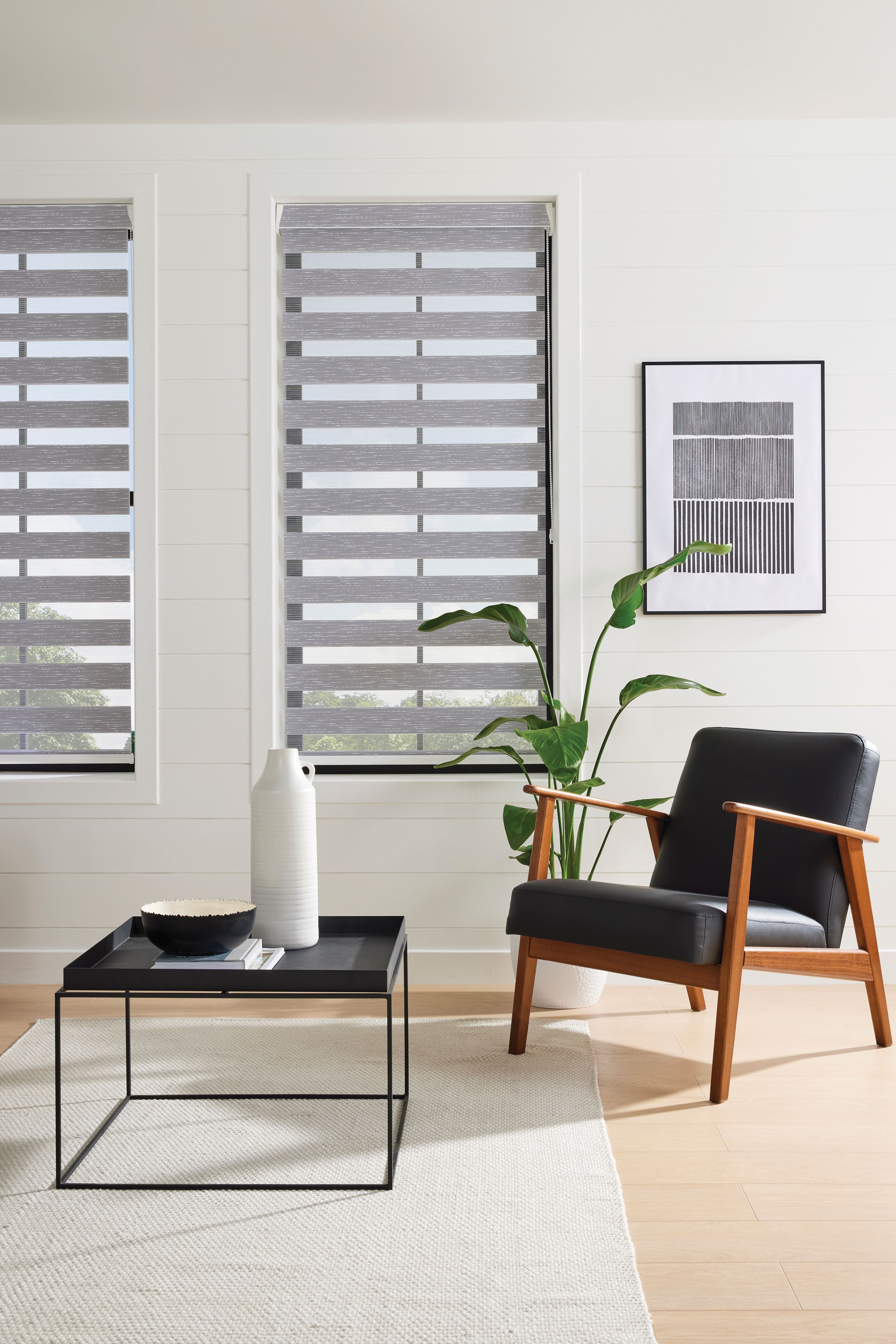 Luna main Dual Shades – Save On Blinds