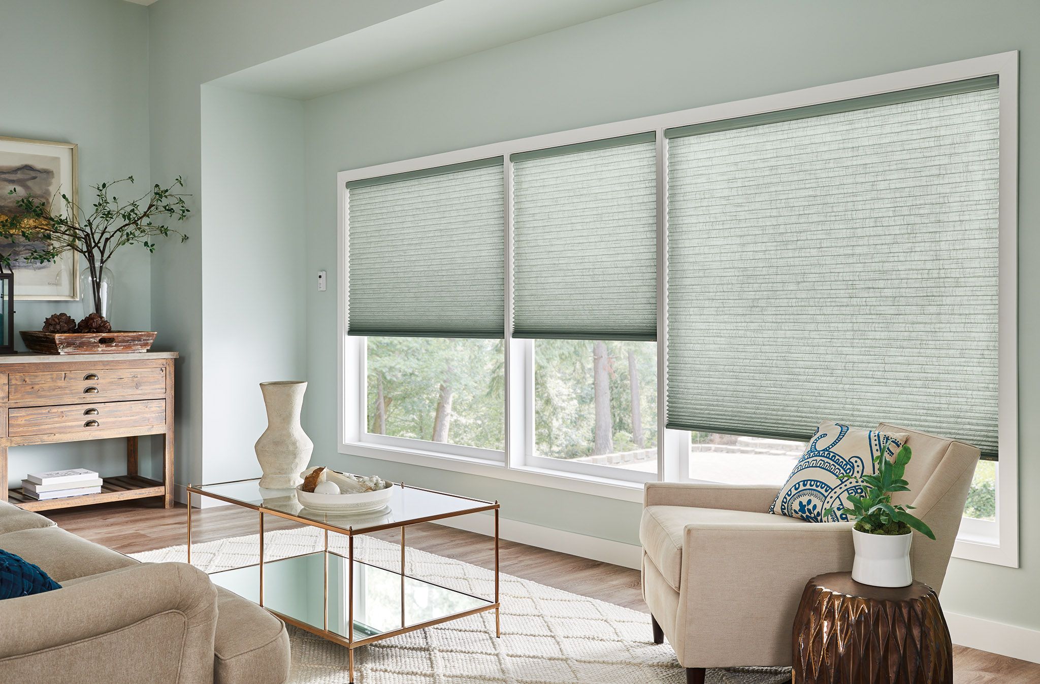 Living room honeycomb Shades – Save On Blinds